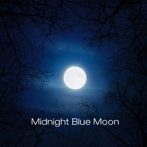 Midnight Blue Moon > Album | 큐오뮤직 음원유통사